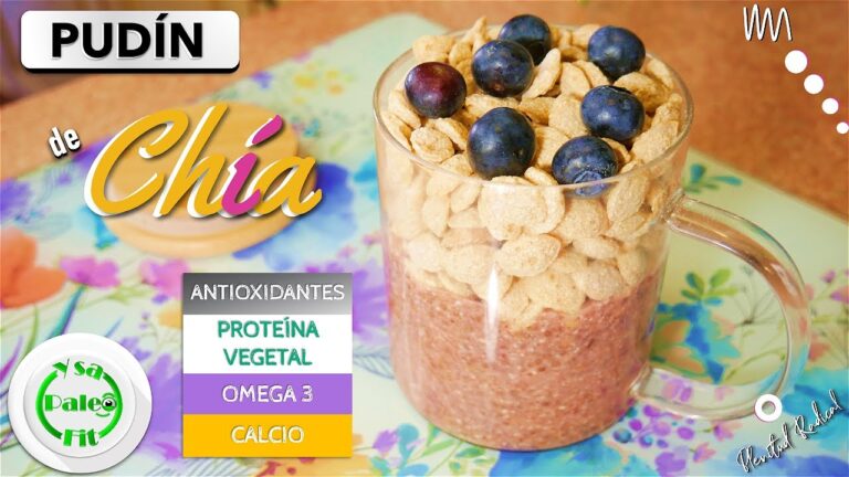 Beneficios de las Semillas en un Budín de Chía Saludable | Actualizado ...